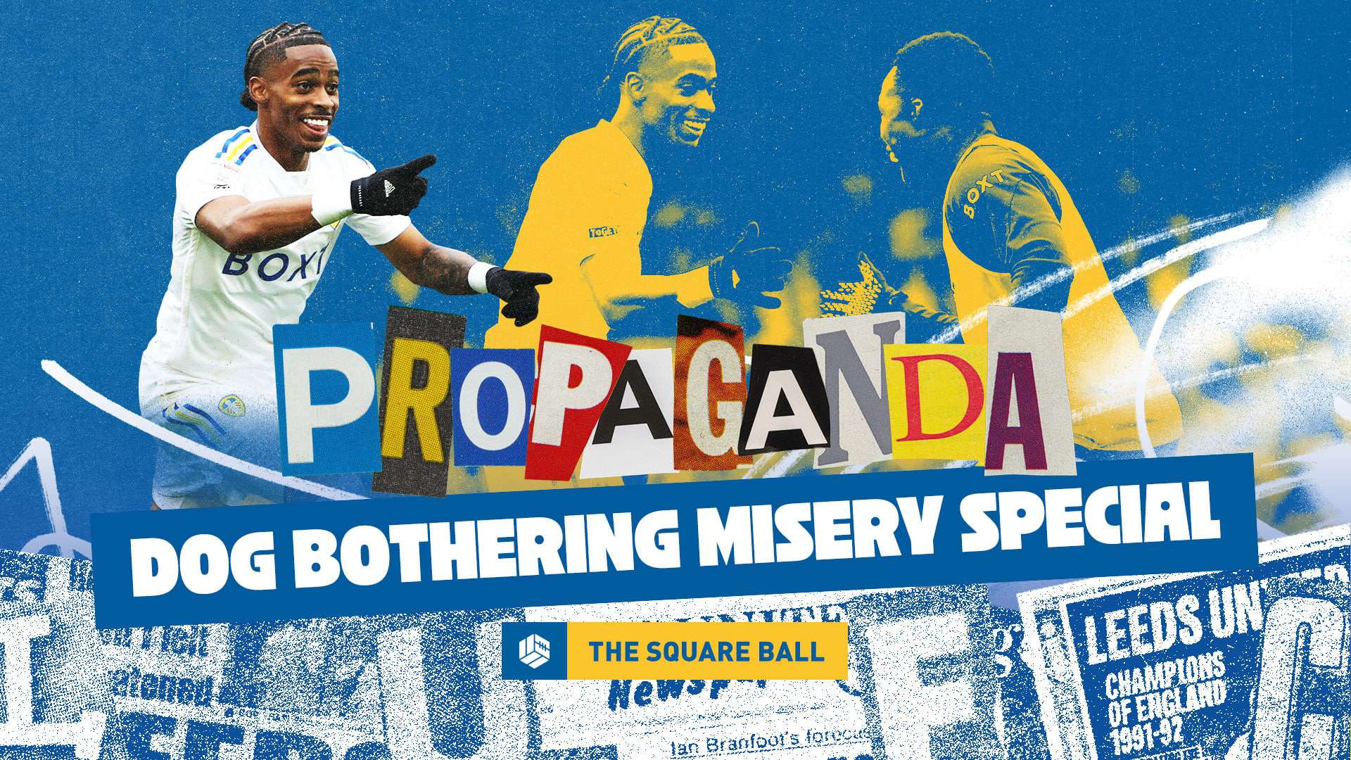 Watch Propaganda: Dog Bothering Misery Special • The Square Ball