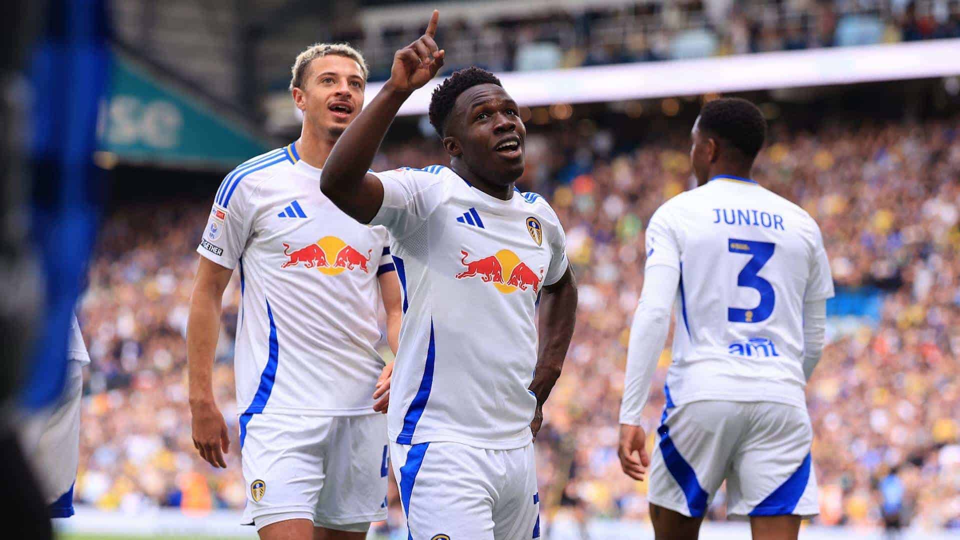 Willy Gnonto learned Latin so Leeds could go up • The Square Ball