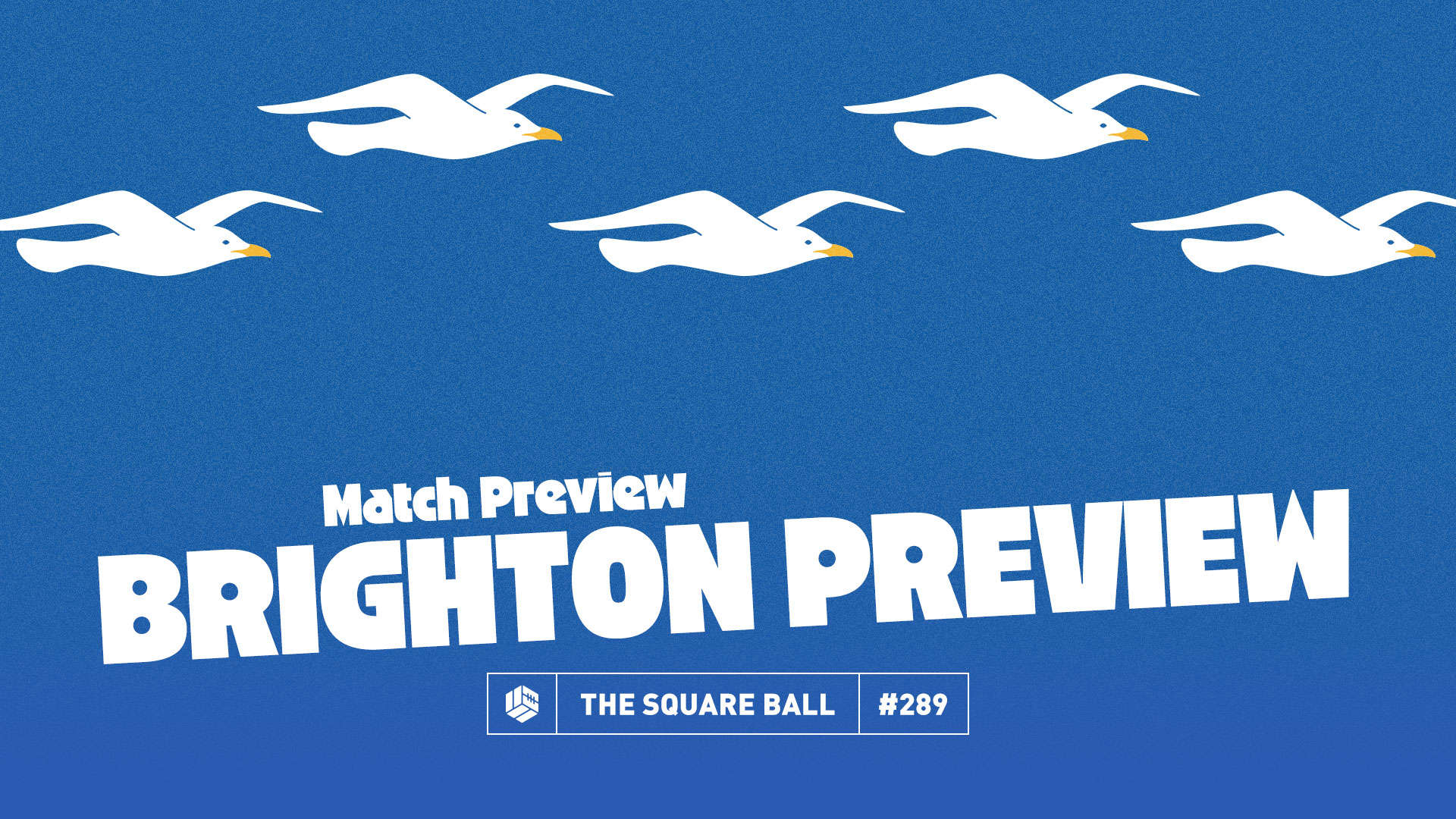 Watch our Brighton preview • The Square Ball